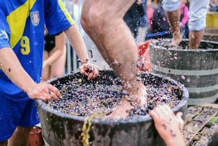 Fiestas De La Vendimia 2020 A Lo Largo De Chile