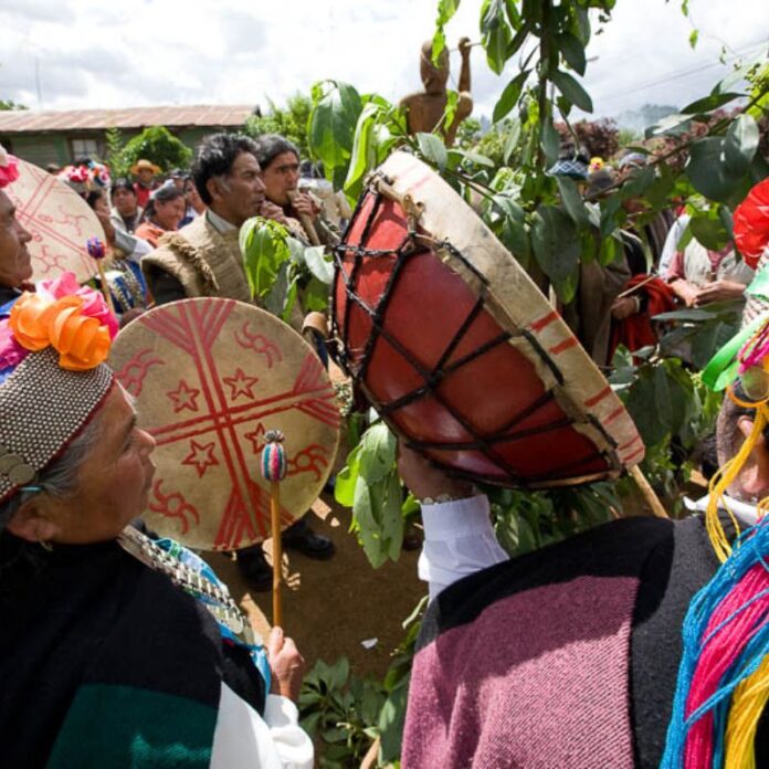 ¿Quiénes Son Los Mapuches? Identidad Y Futuro