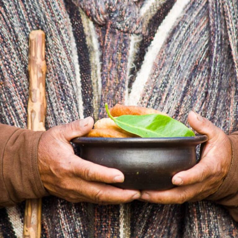 ¿Quiénes Son Los Mapuches? Identidad Y Futuro