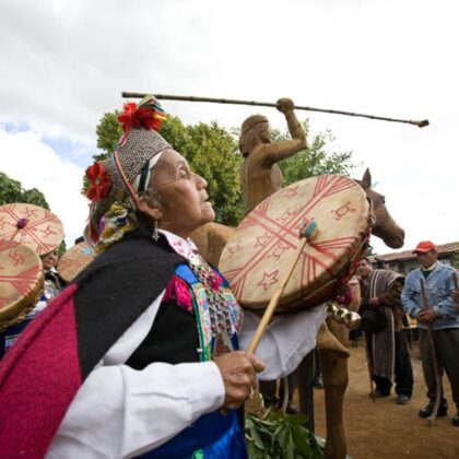 ¿Quiénes Son Los Mapuches? Identidad Y Futuro