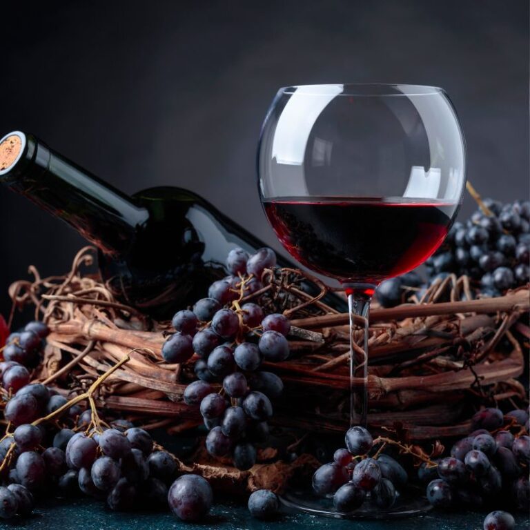 Conoce La Historia Del Vino Chileno