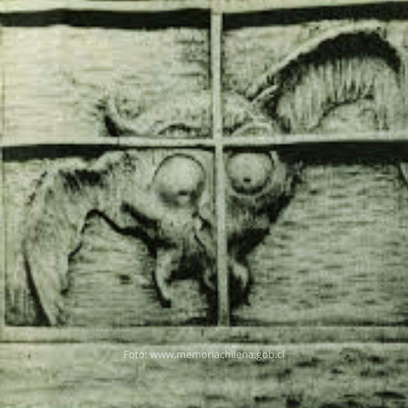 El Chonchón: Leyenda Mapuche Y Mito Del “tue-tue”