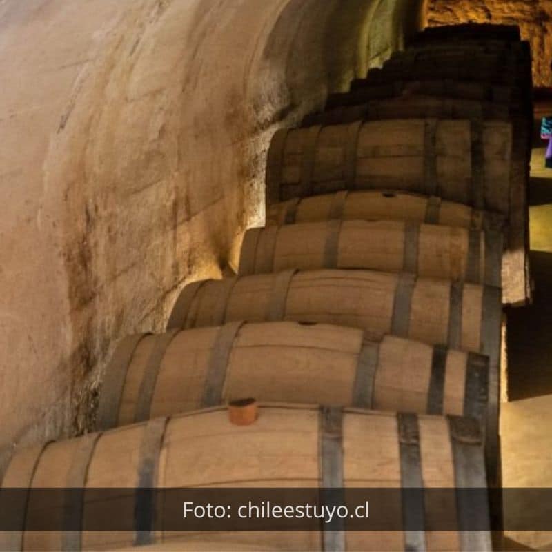 Pisco Chileno: Chile Puede Usar Denominación De Origen